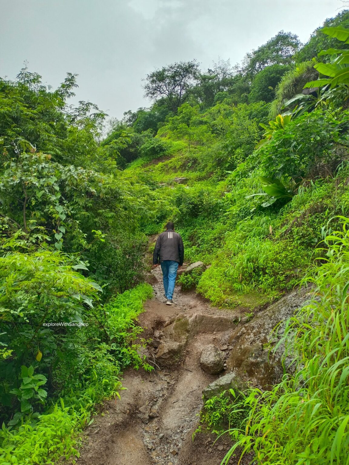 Tikona Fort Trek: 60 KM From Pune to the Most Stunning Triangular Fort ...