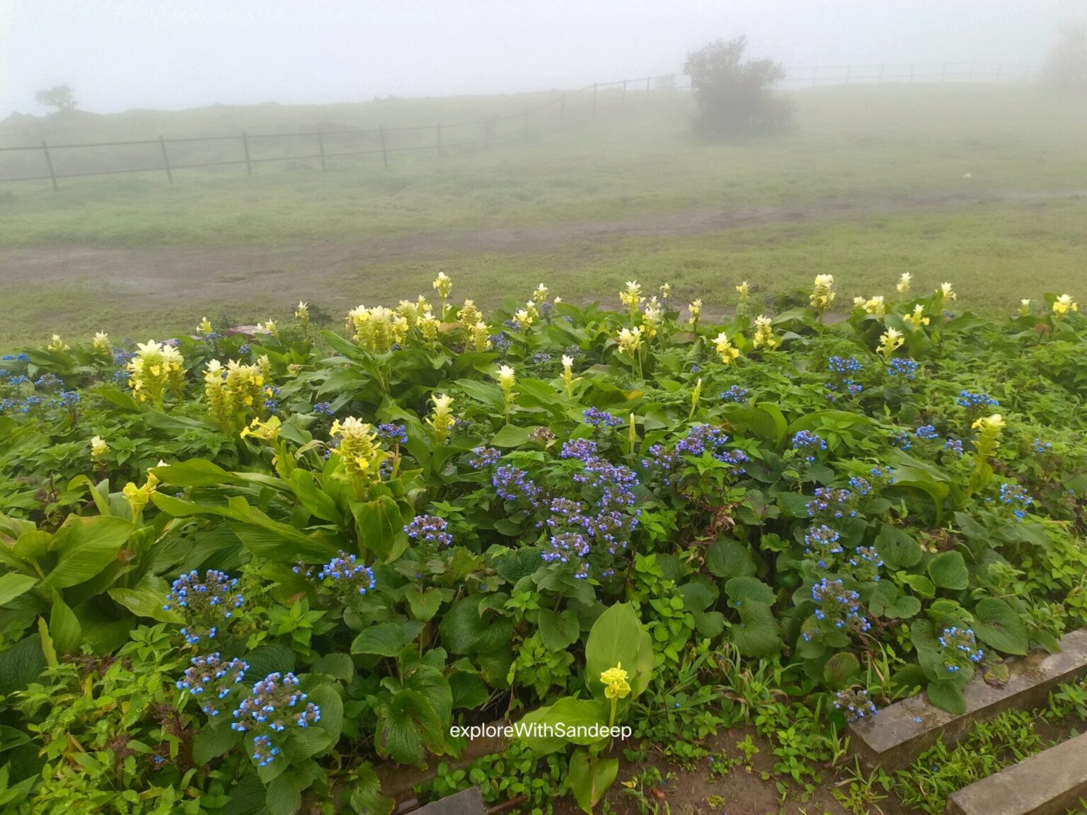 Exploring Raireshwar Fort: The Birthplace of Maratha Swarajya and Bhor ...