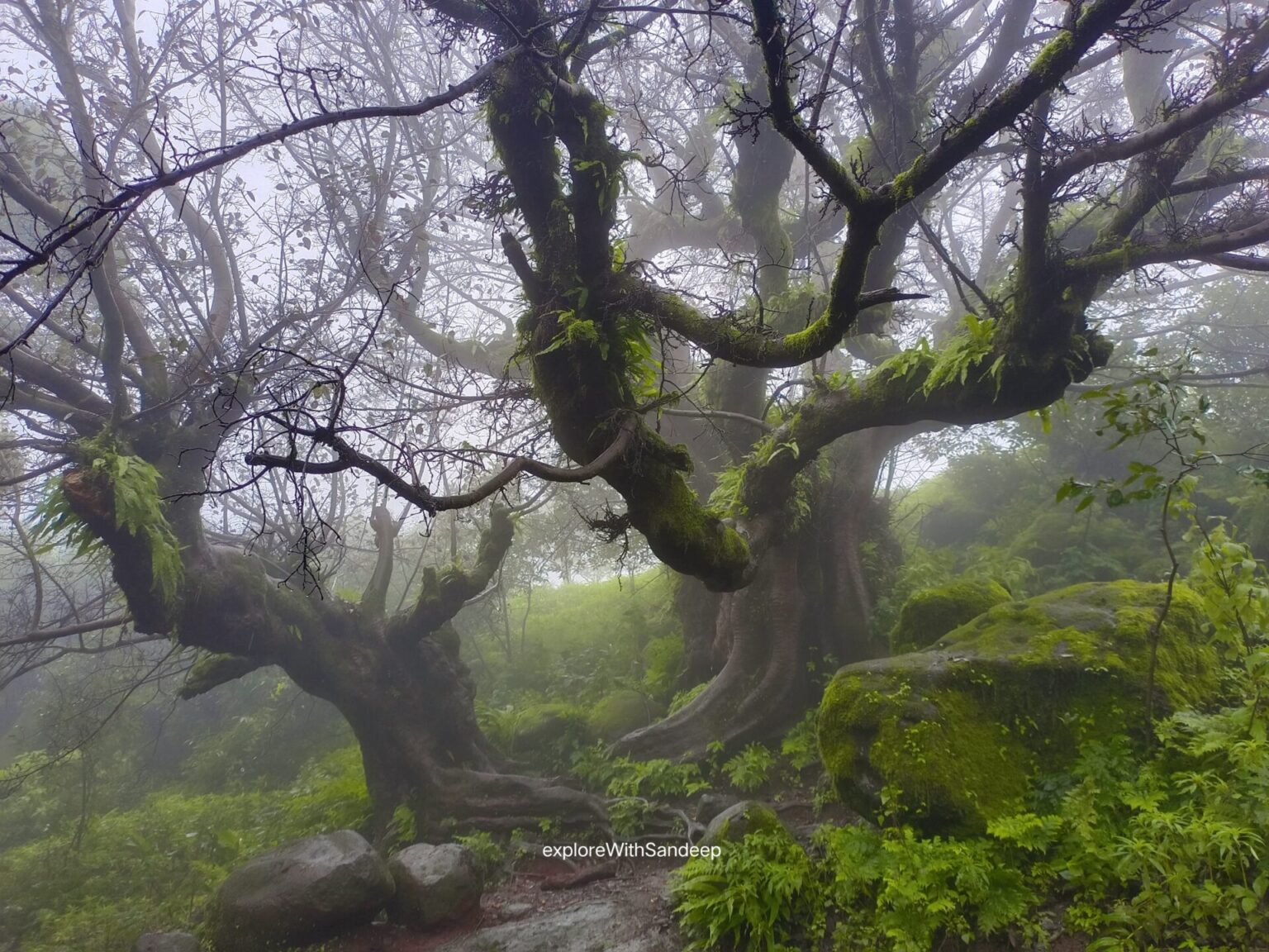 Exploring Raireshwar Fort: The Birthplace of Maratha Swarajya and Bhor ...